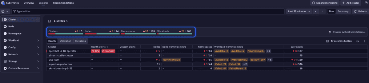 Assess and troubleshoot cluster health — Dynatrace Docs