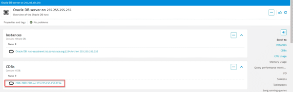 Oracle Database monitoring configuration — Dynatrace Docs