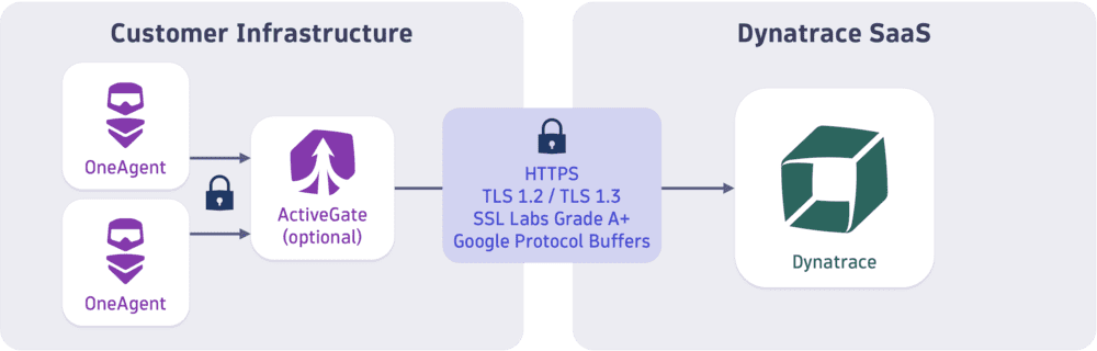 Data Security Controls Dynatrace Docs
