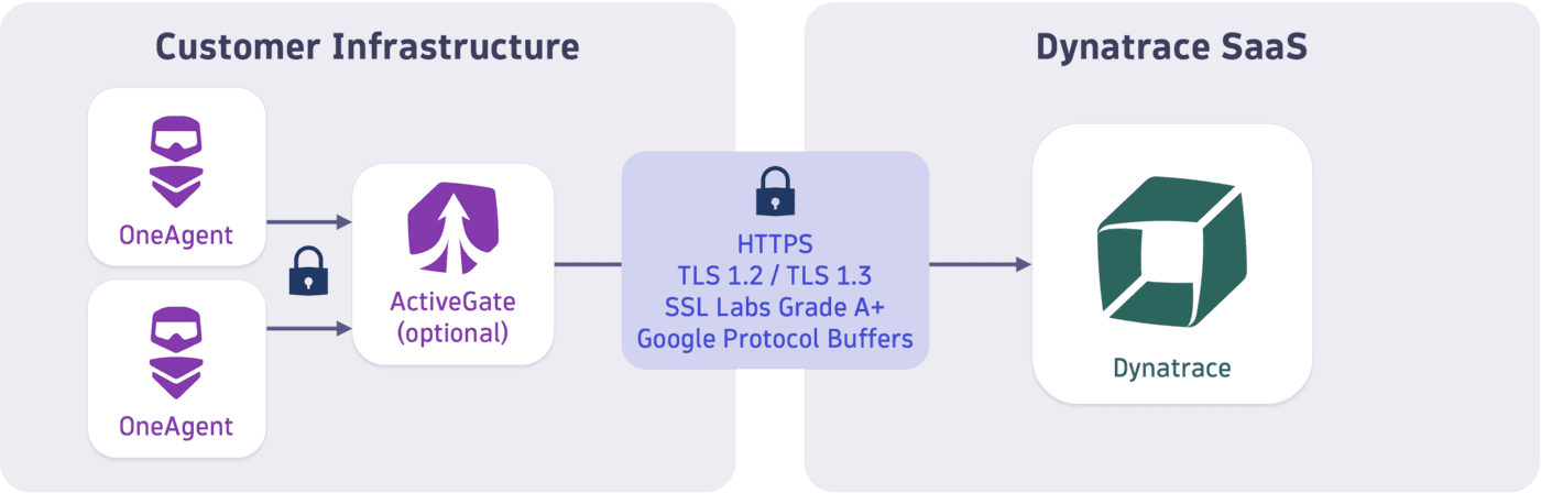 Data security controls — Dynatrace Docs