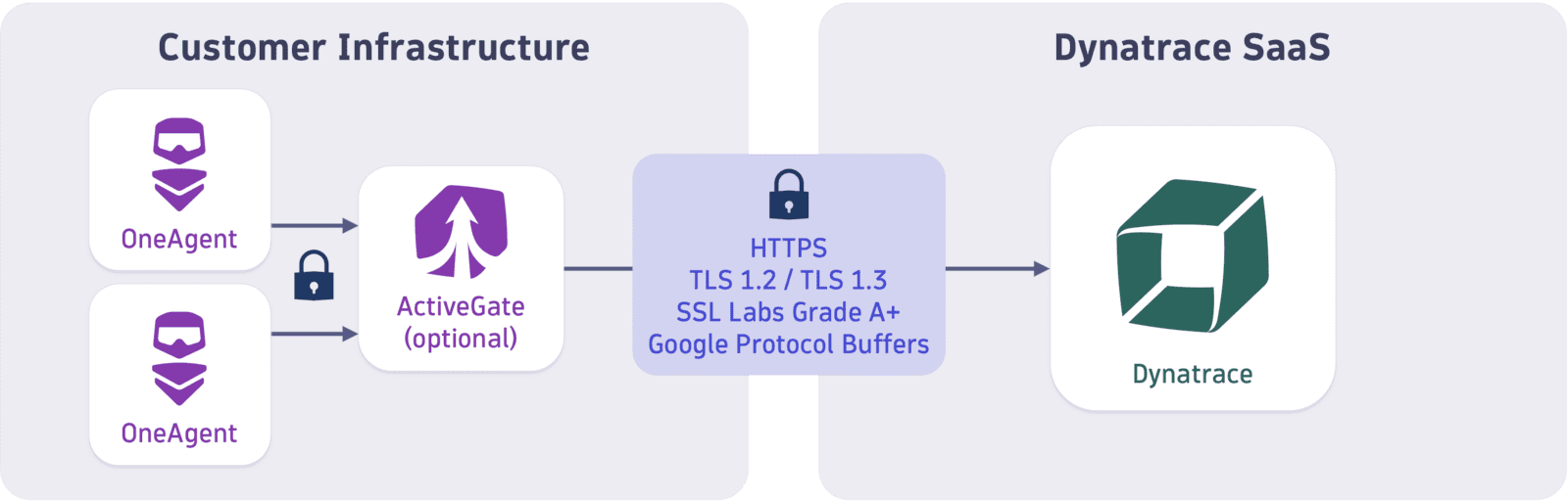 Data security controls — Dynatrace Docs