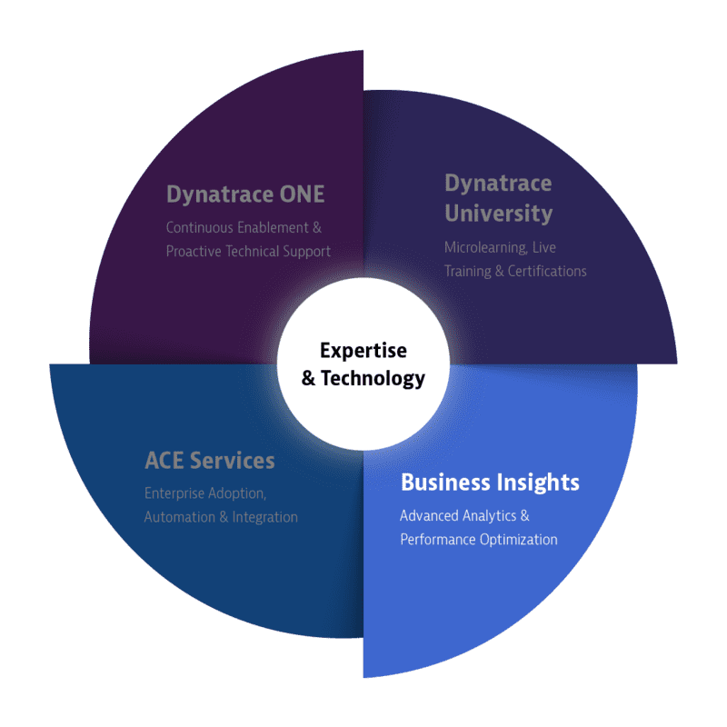 Business Insights Services
