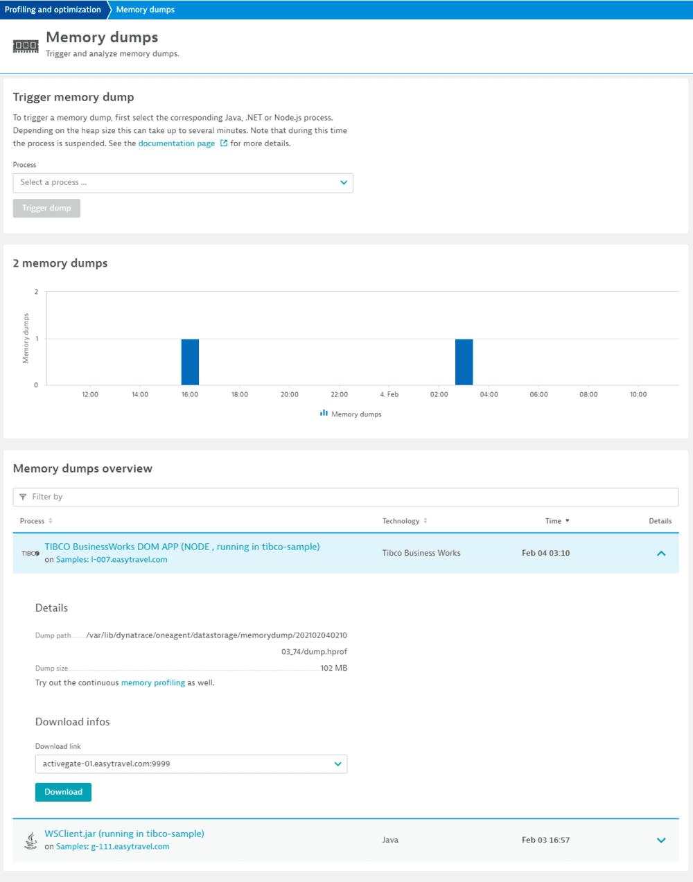 Analyze memory dumps — Dynatrace Docs