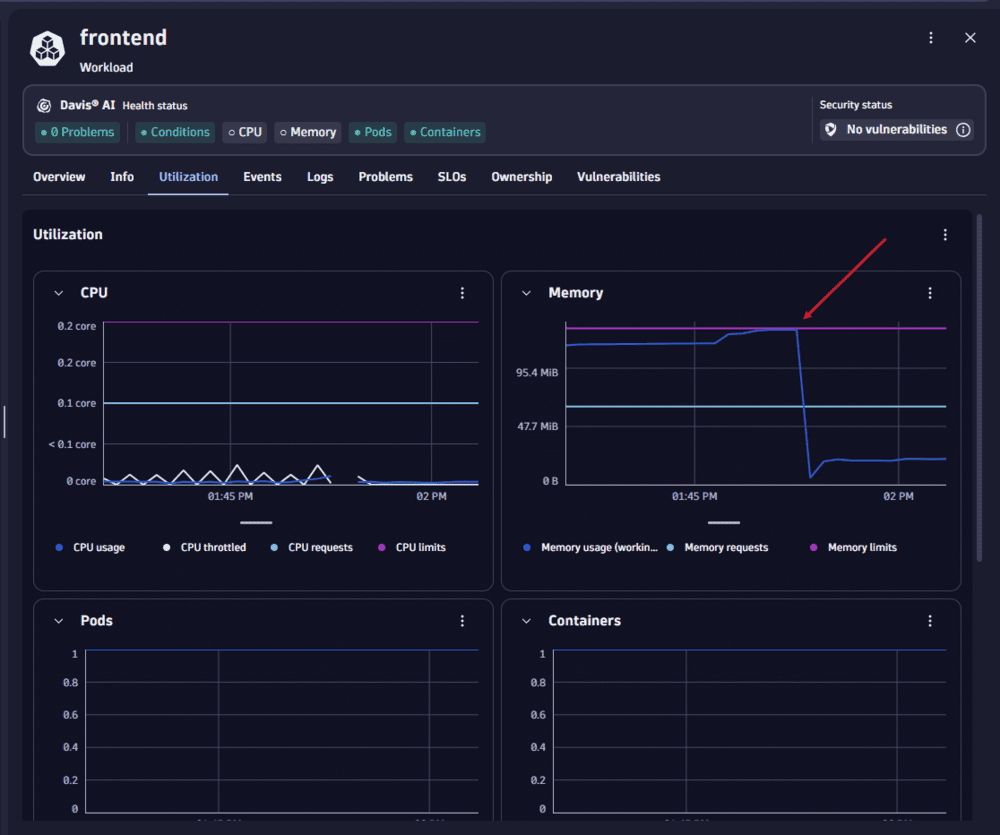 Troubleshoot Common Health Problems Of Kubernetes Workloads — Dynatrace