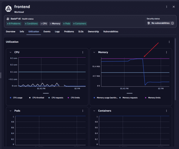 Troubleshoot Common Health Problems Of Kubernetes Workloads — Dynatrace