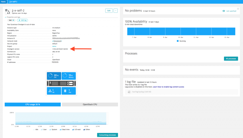Installed version of OneAgent now displayed on Host pages