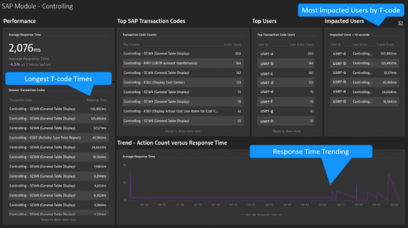 SAPGUI: Understanding the SAPGUI user experience