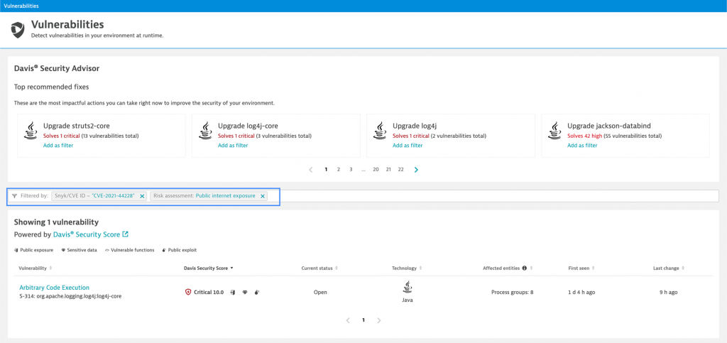 Identify and minimize the risk of Log4Shell vulnerbability
